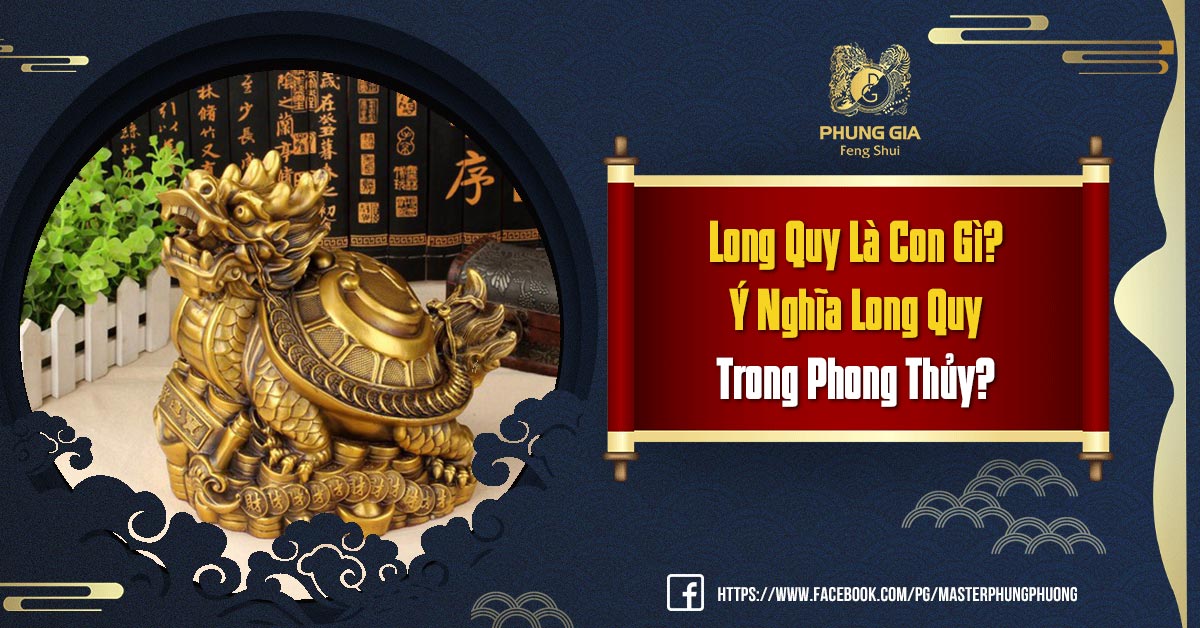 Long Quy Là Con Gì? Ý Nghĩa Long Quy Trong Phong Thủy? – Phong Thủy ...